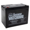 Maintenance-Free Standby Battery | The Basement Watchdog